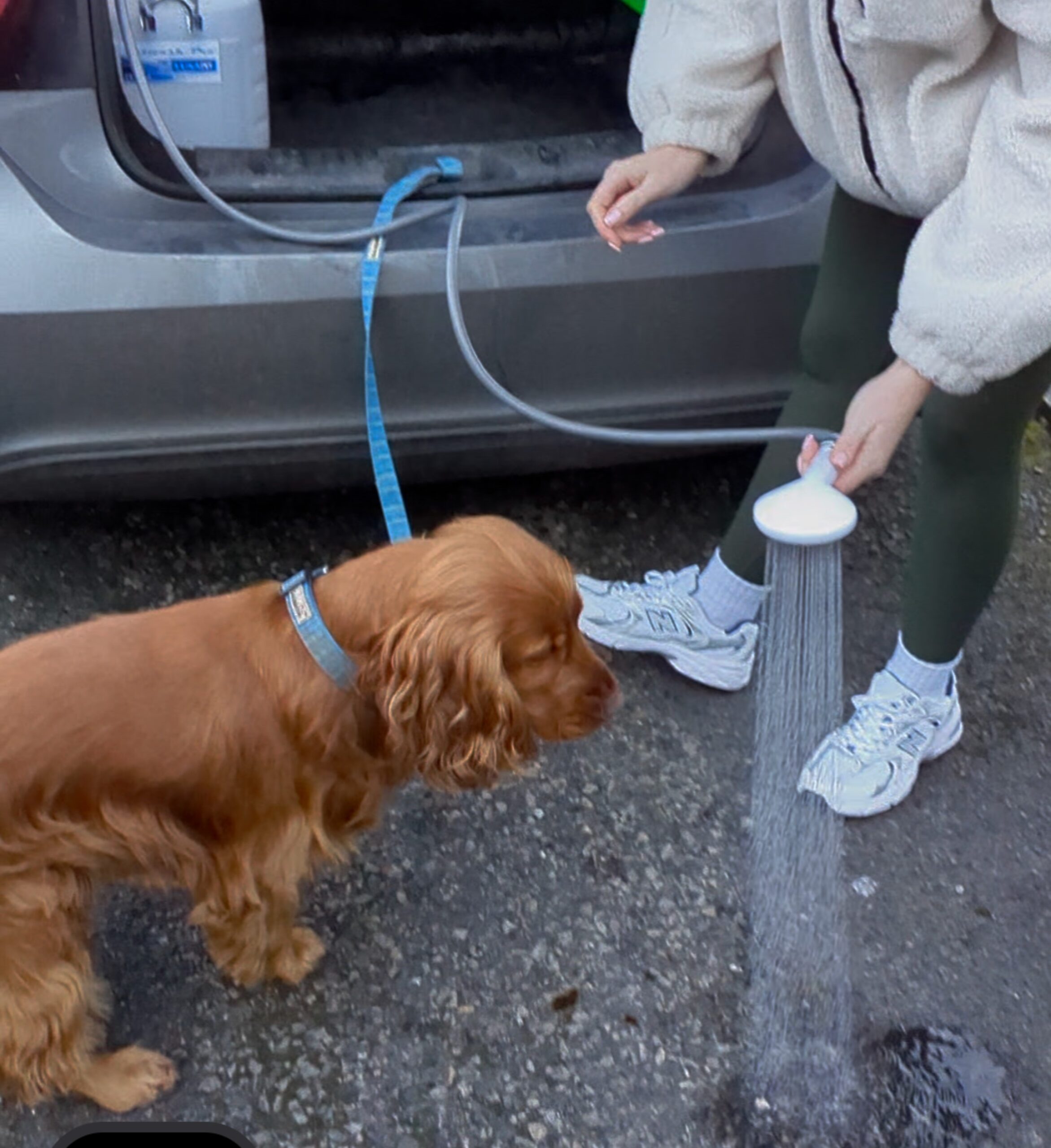 Pet Wash Pro by Luxapet - Portable Dog washer with FREE U.K Delivery ...